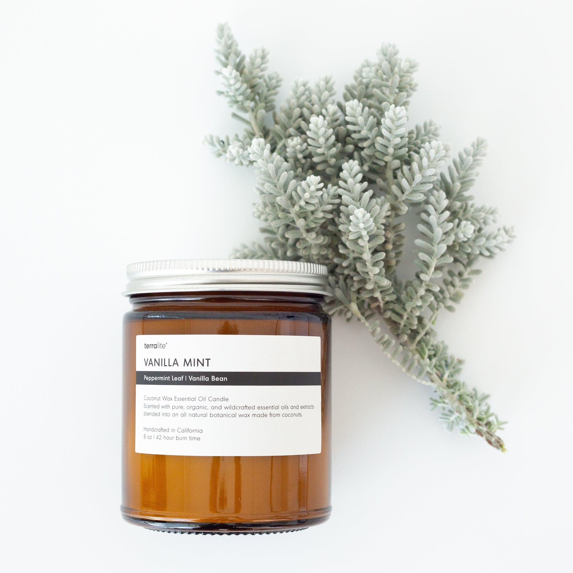 Vanilla Mint (classic) – Terralite Wholesale